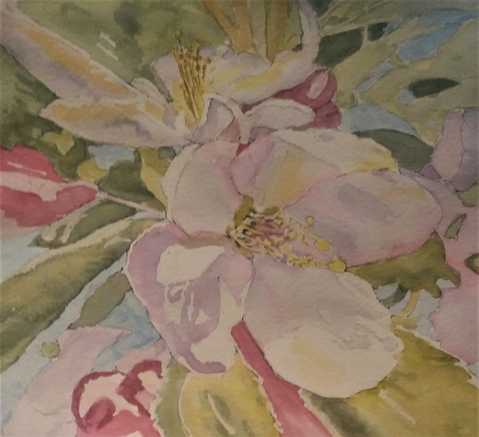 Artbysandybriggs
